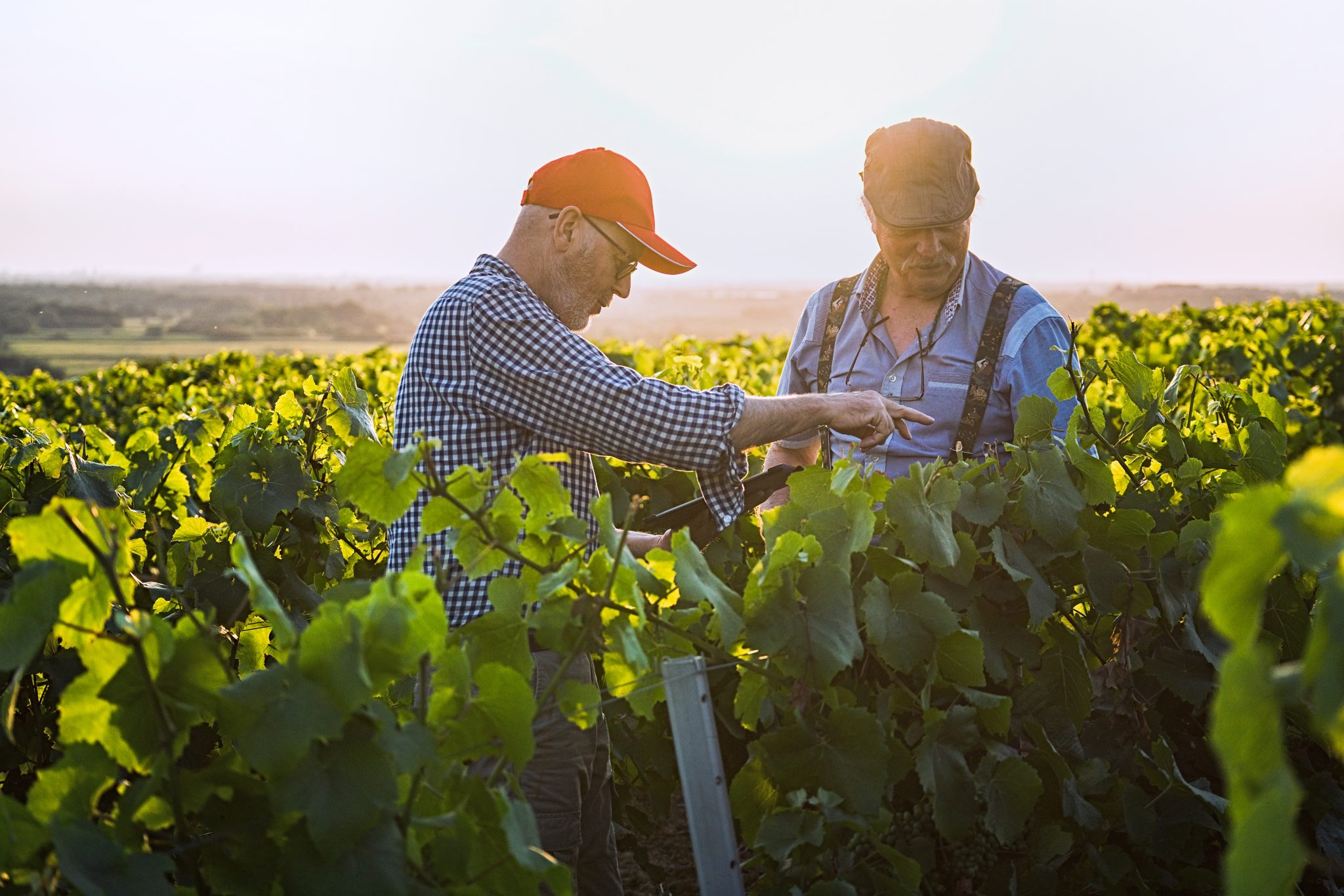 Emploi : ce qui change pour vos salariés au 1er janvier 2026 - CAVB